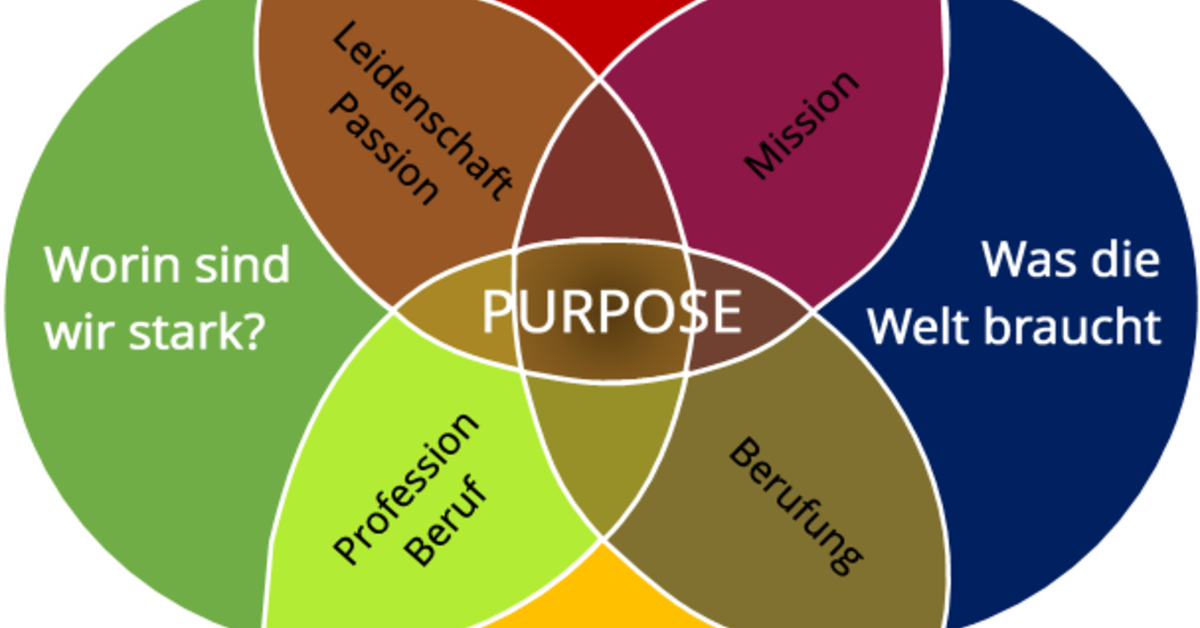 Das sinn- und strategieorientierte Unternehmen : DIEBERATERINNEN